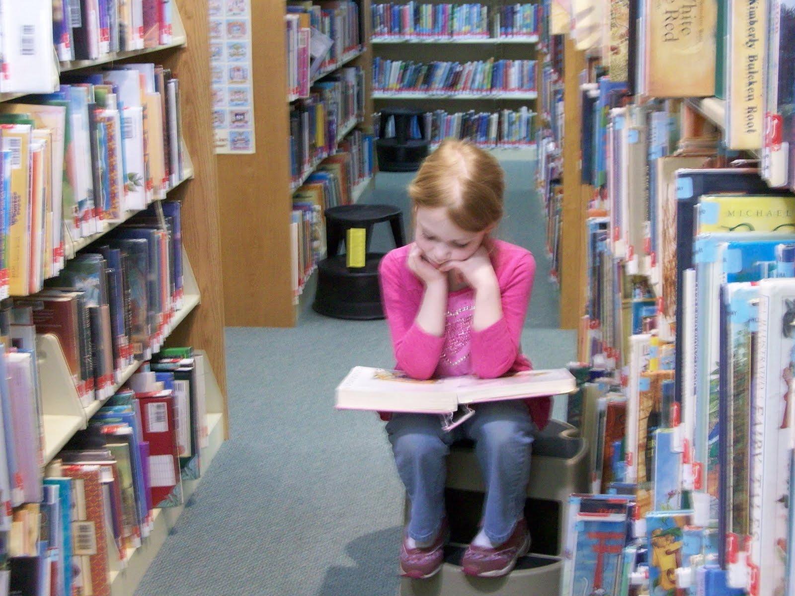 pjfl: Quiet Reading Time at the Library