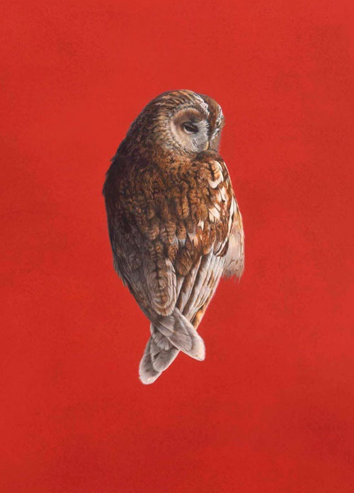 My Owl Barn: Watercolor and Gouache Wildlife Inspired Paintings by Tim ...