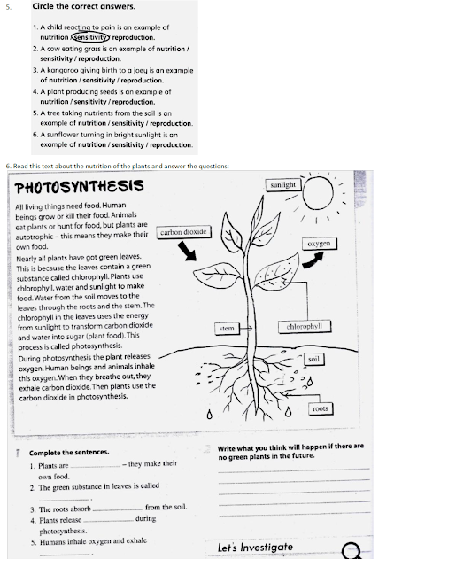 Natural Science 5 grade: 1. LIVING THINGS: Introduction
