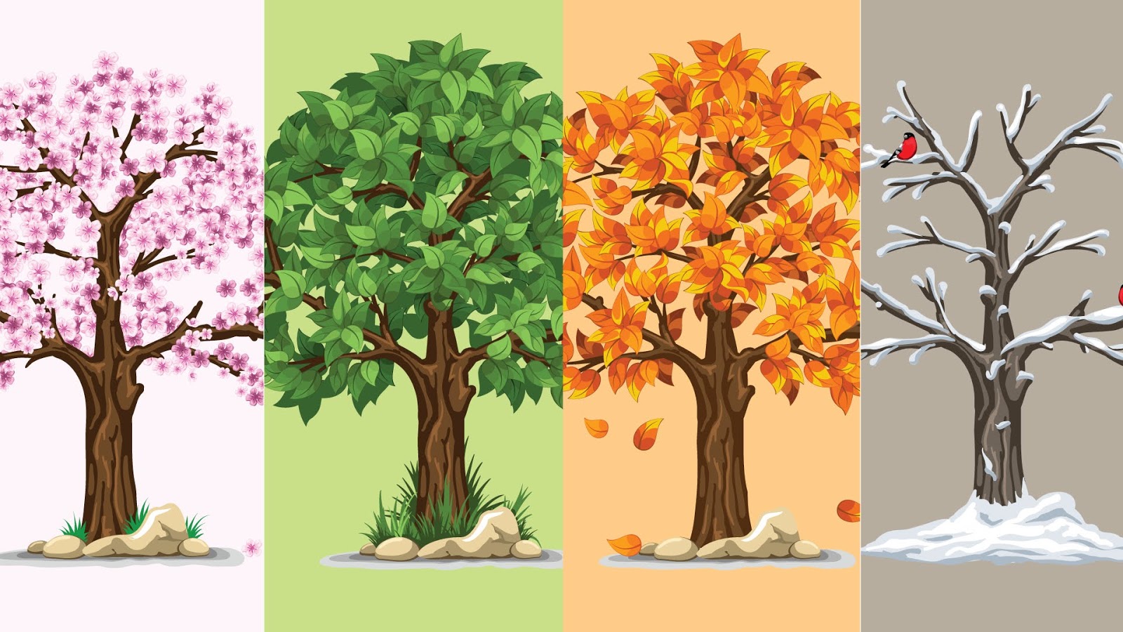 Hrană pentru suflet: Câteva date ştiinţifice despre anotimpuri ...