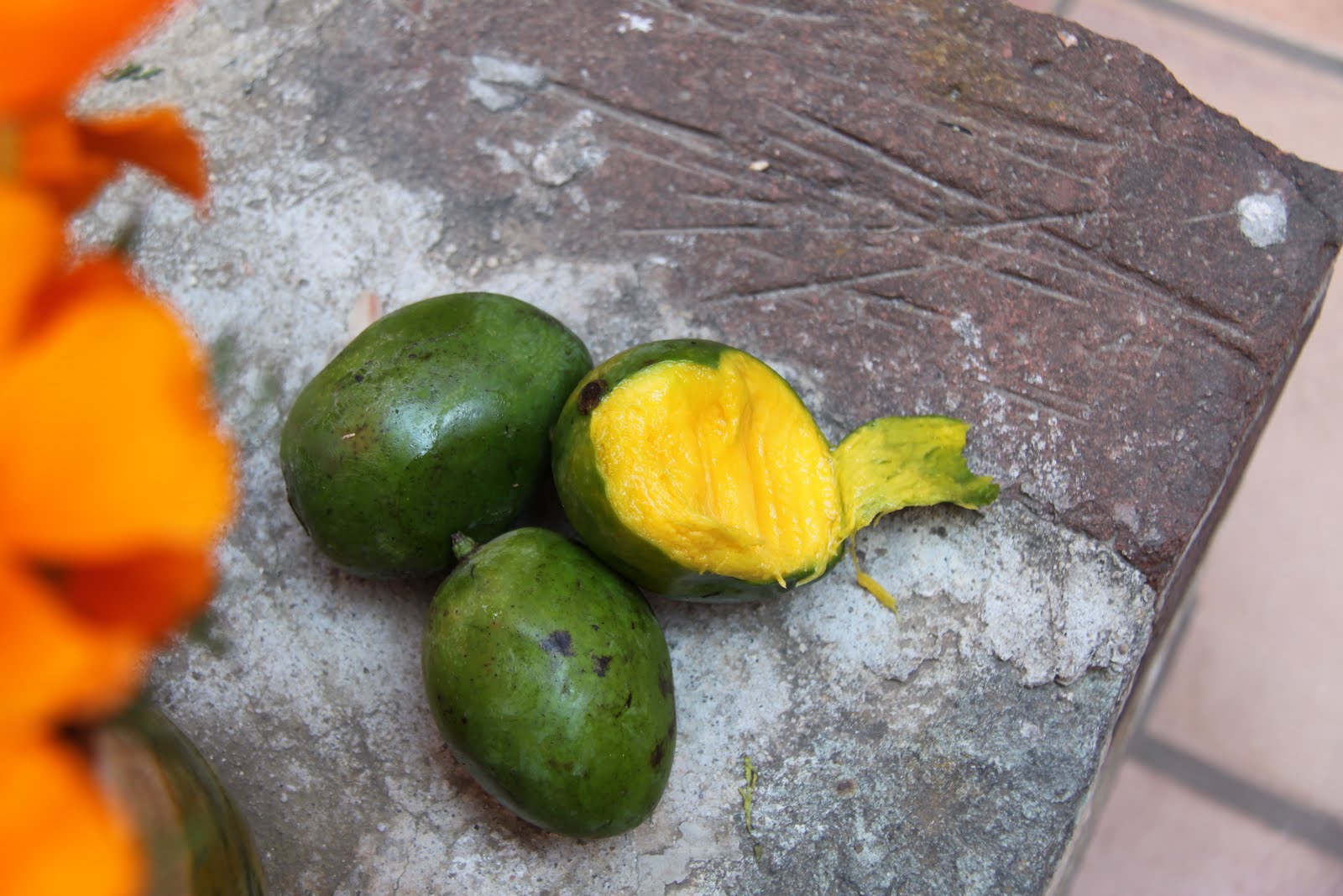 Mexico File: Mango piña