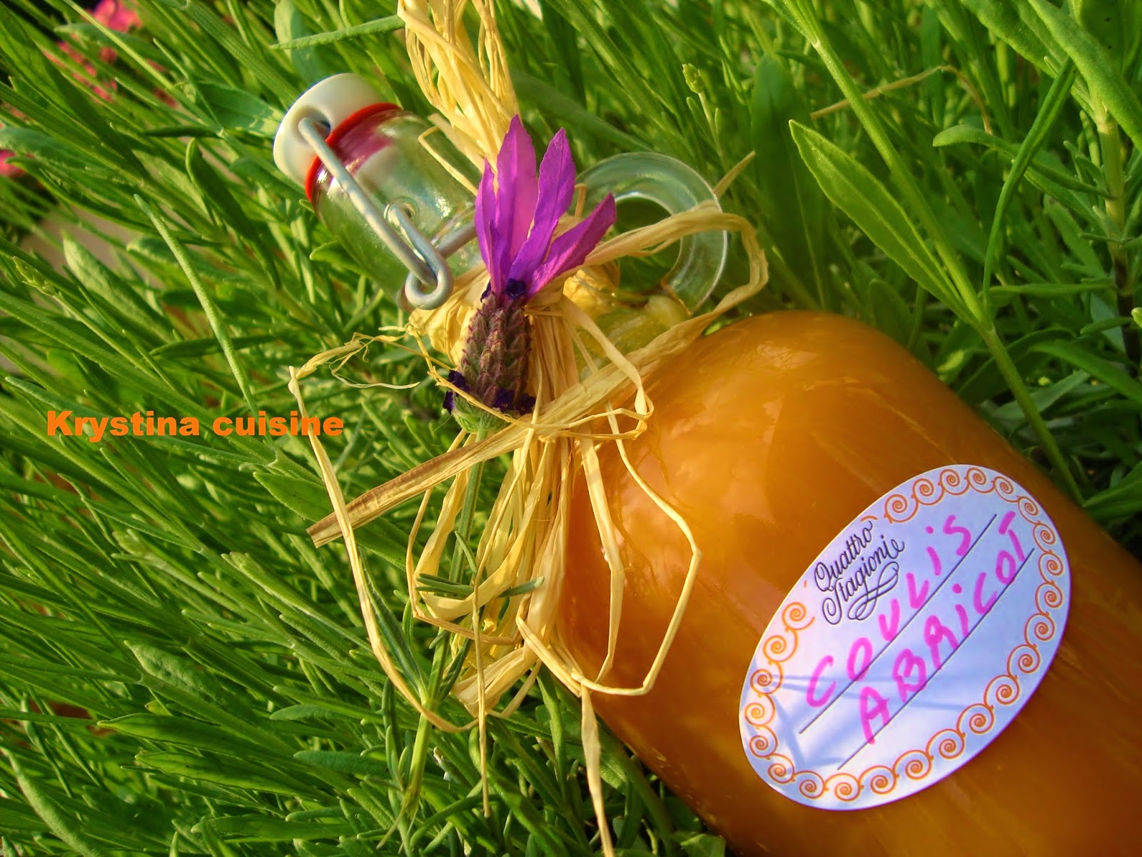 Krystina cuisine: CONFITS - CONFITURES - COULIS - AROMES