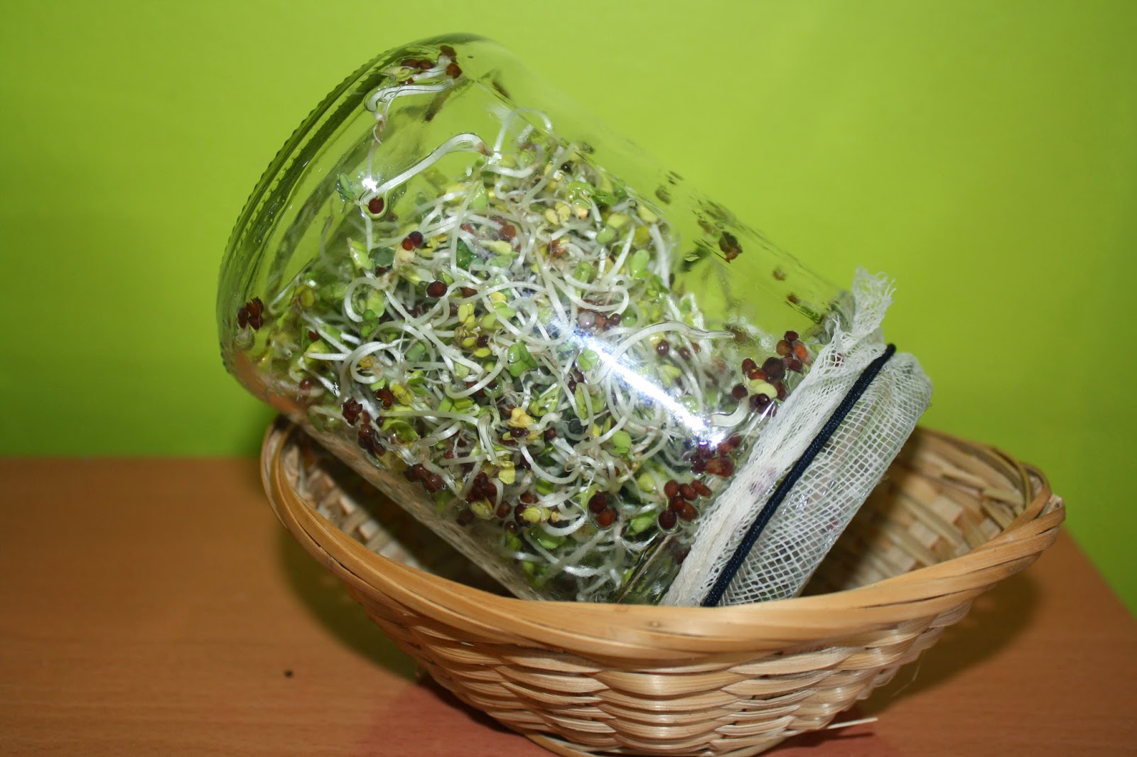 Mis consejos y recetas saludables: Beneficiosos Germinados