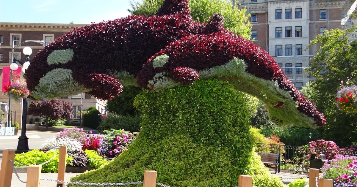 "V-Pod" Orcas: Jardim de Orcas