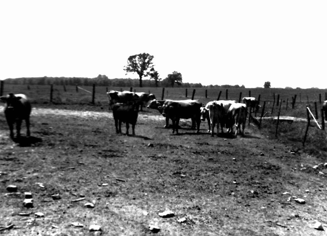 Fond du Lac History: Melrose Farm