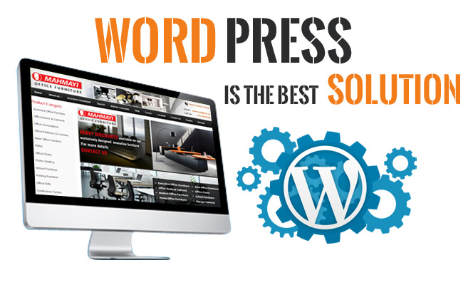 A Look At The Benefits Of Developing A Word Press Website