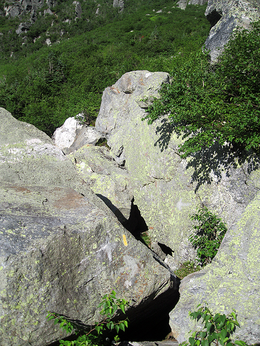 Hiking in the White Mountains: 'The Beasts of the East' ~ Huntington ...