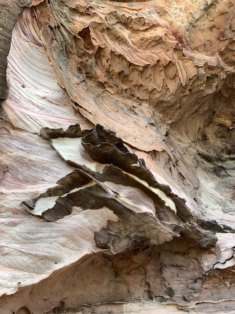 jannimary: Exploring the Pilliga - Part 3 - Sandstone Caves and Pilliga ...