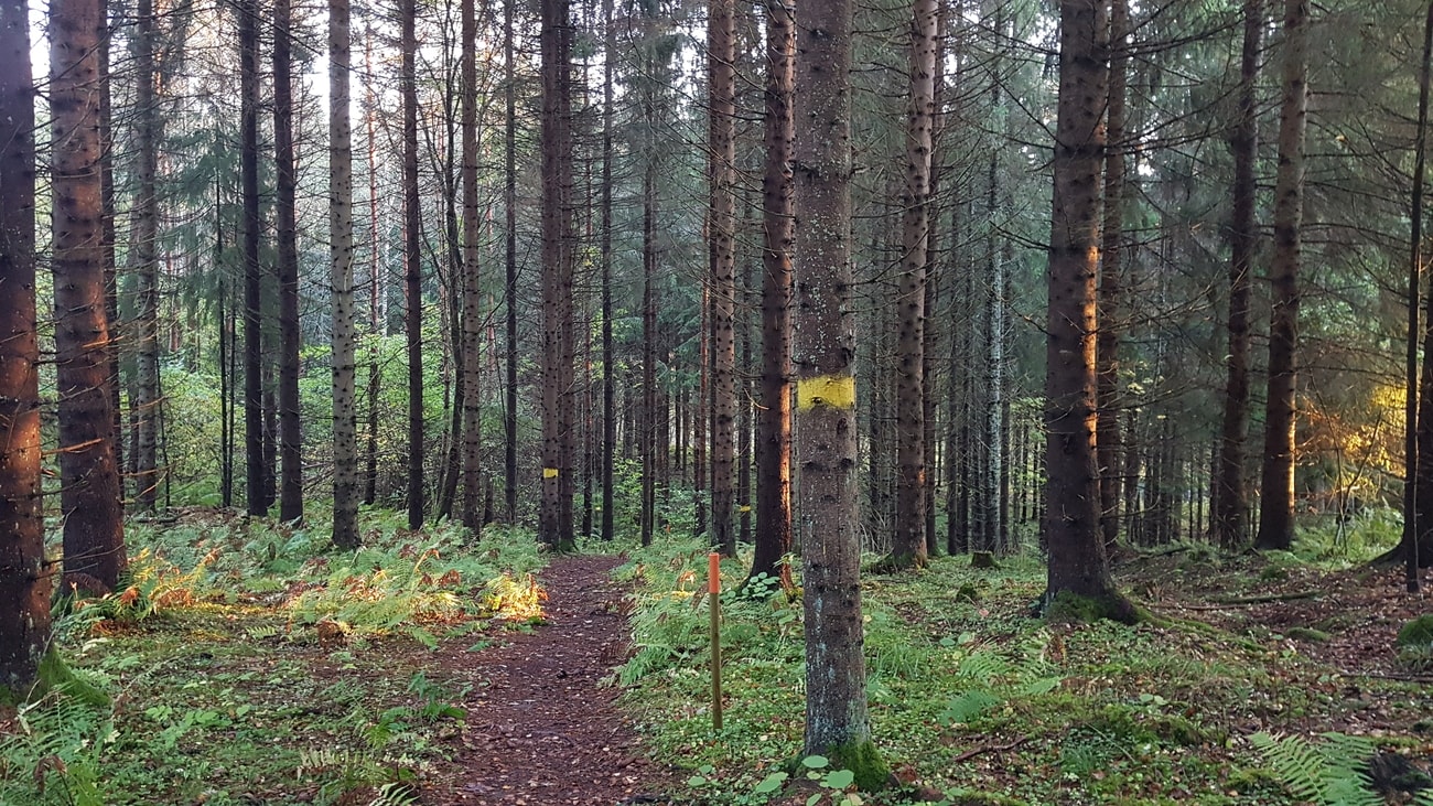 Risslan metsäpolku Raaseporissa