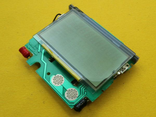 BugWorkShop - 甲蟲工作室: 2月 2021