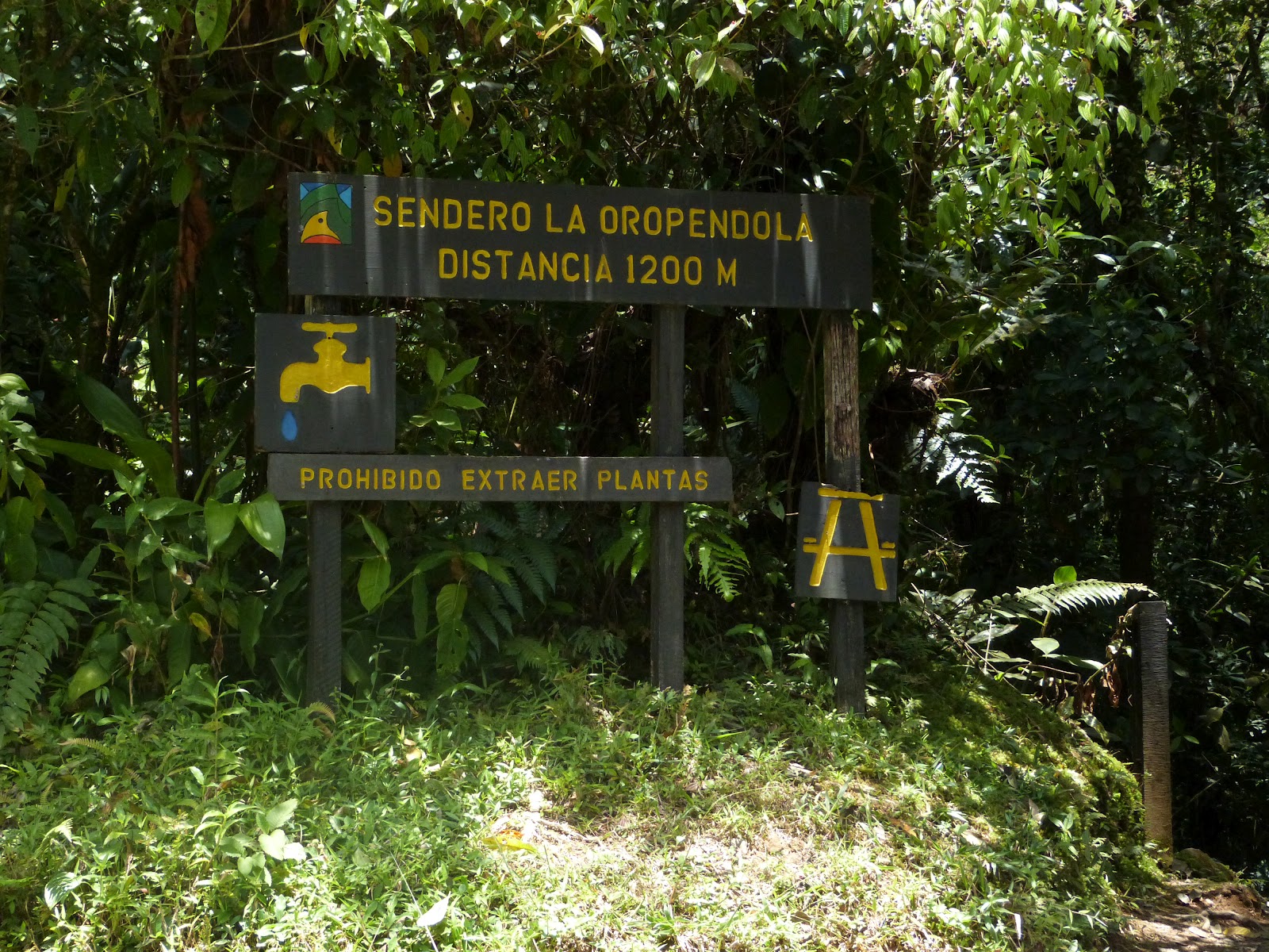 Parque Nacional Tapantí: Senderos