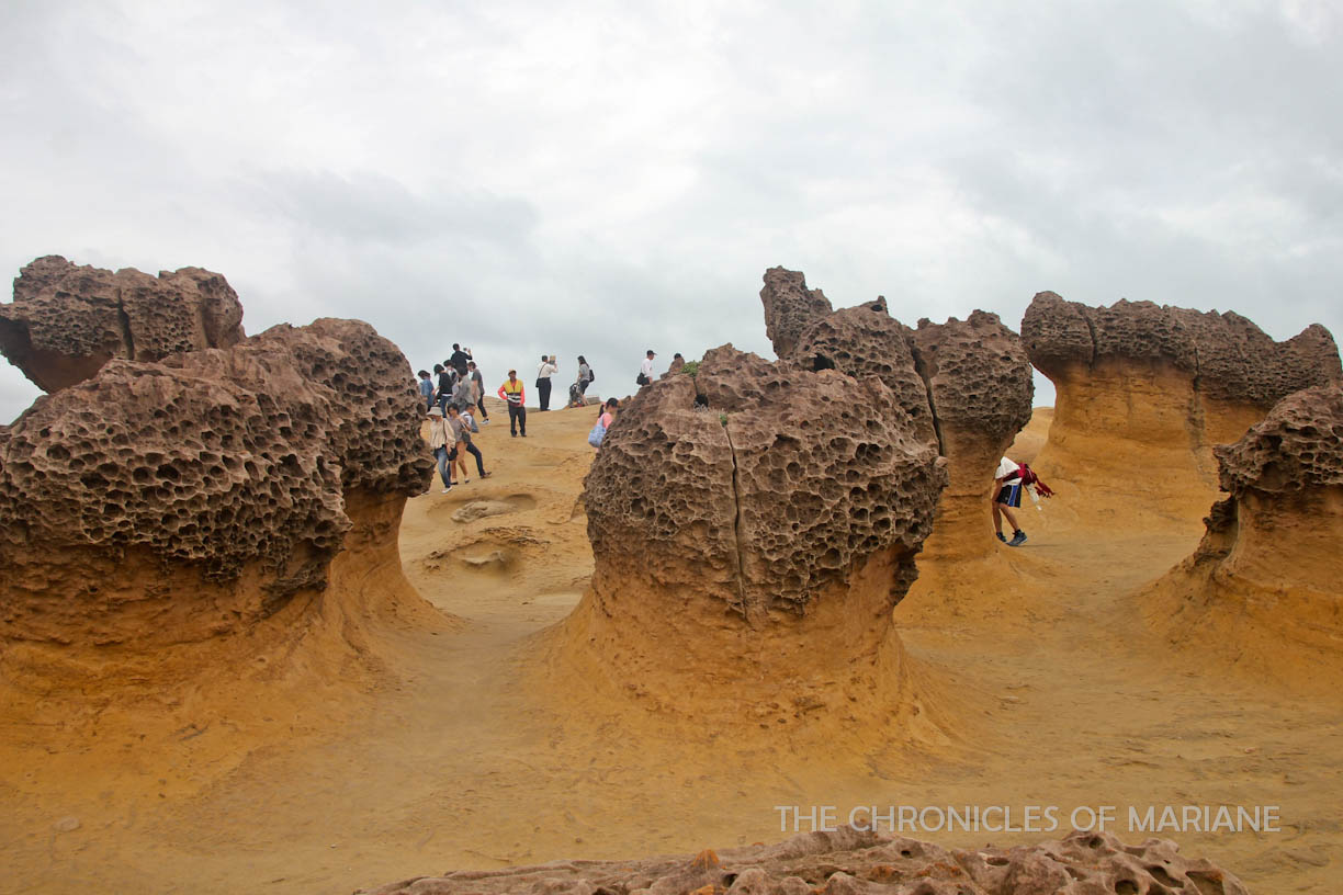 Yehliu Geopark - Taiwan’s Rock Theme Park? | The Chronicles of Mariane