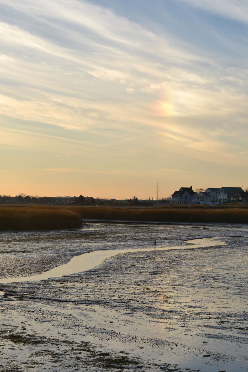 Woods Walks and Wildlife: November 2013