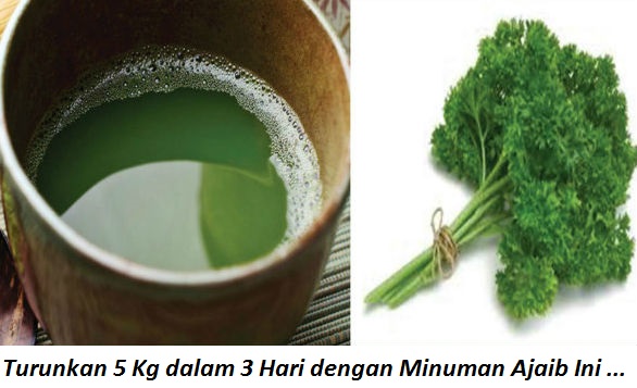 ANDA INGIN KURUS BACA INI !!WOW ,MINUMAN INI MAMPU TURUNKAN 5 KG DALAM ...