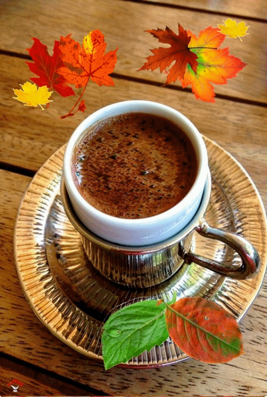 🌐 ȘTIRI-CĂLĂTOR PRIN LUMEA PLANETEI ALBASTRE: CAFEAUA DE WEEKEND