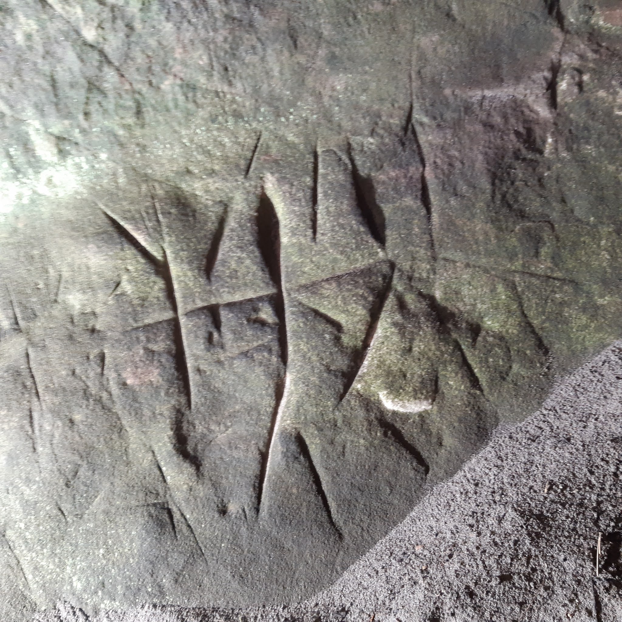 Prehistoire en pays silvanecte: Gravures rupestres du sud-est de l'Oise