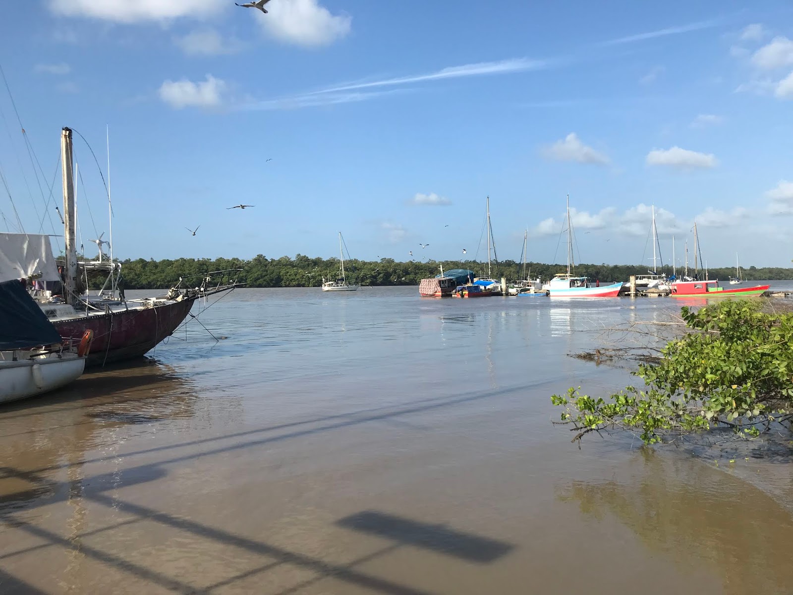 TONGA: La Guyane française/ French Guyana / La Guyana Francesca