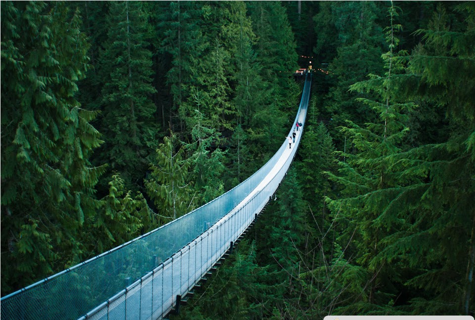 Suspension Bridge in Canada`s Forest ~ ARHGUZ