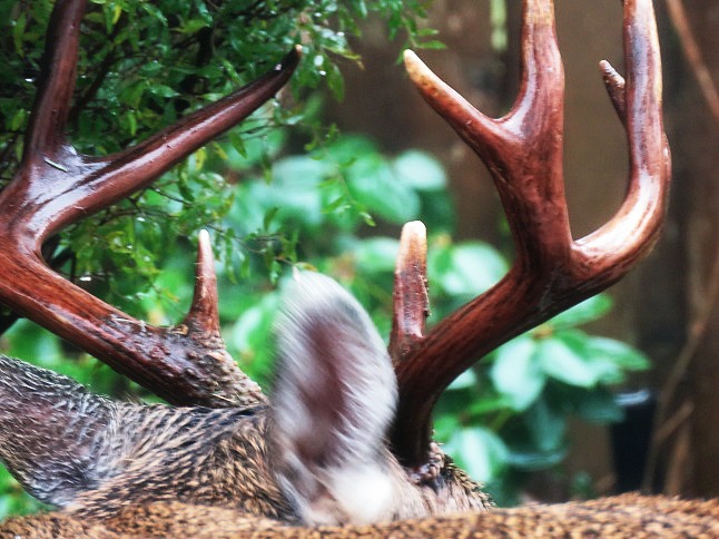 For the Love of Dirt