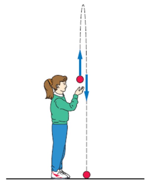 Como Calcular Altura Maxima En Lanzamiento Vertical Hacia Arriba - Catalog Library