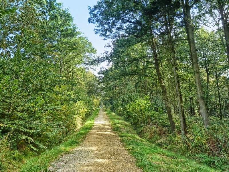 Lin's Isle of Wight Walking Blog: Walk 29 - Parkhurst Forest - 4.5 miles
