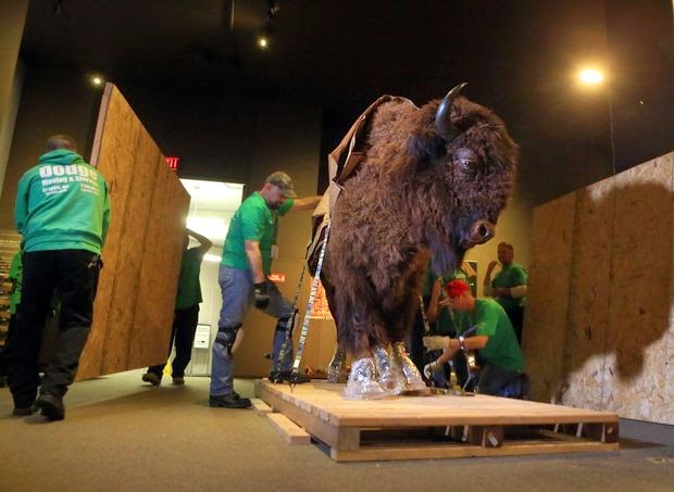 Dodge Moving & Storage a Mayflower Agent