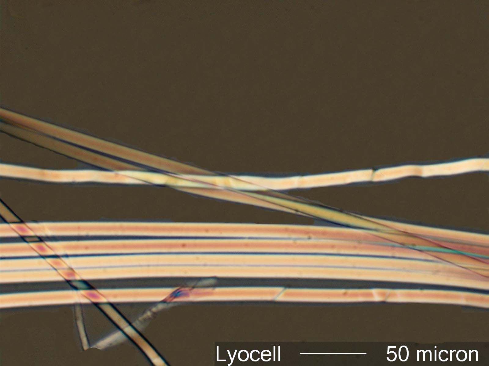 Blog textil: Lyocell