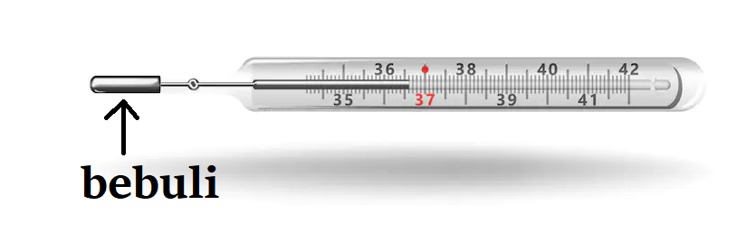 Menyukat Suhu Menggunakan Termometer