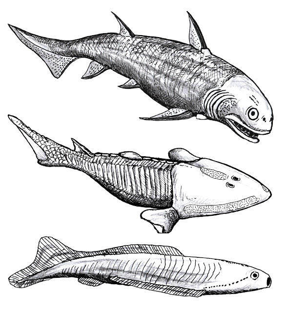viventibus esse: Kronika života 3: silúr (pred 444 – 419 miliónmi rokov)