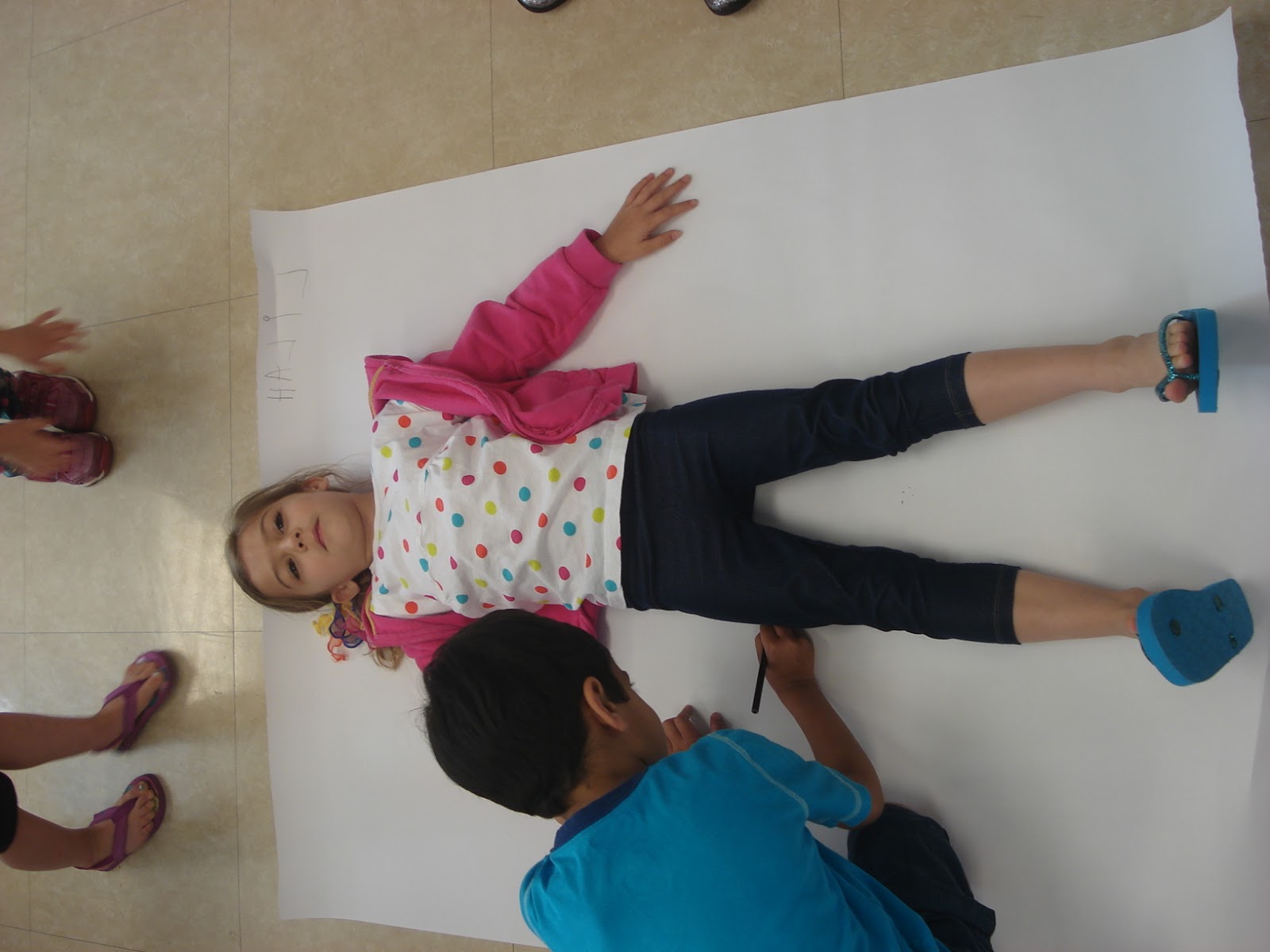 Dragonflies: Body Tracing