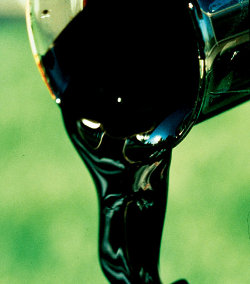 Learning Geology: Heavy oil and Tar sands