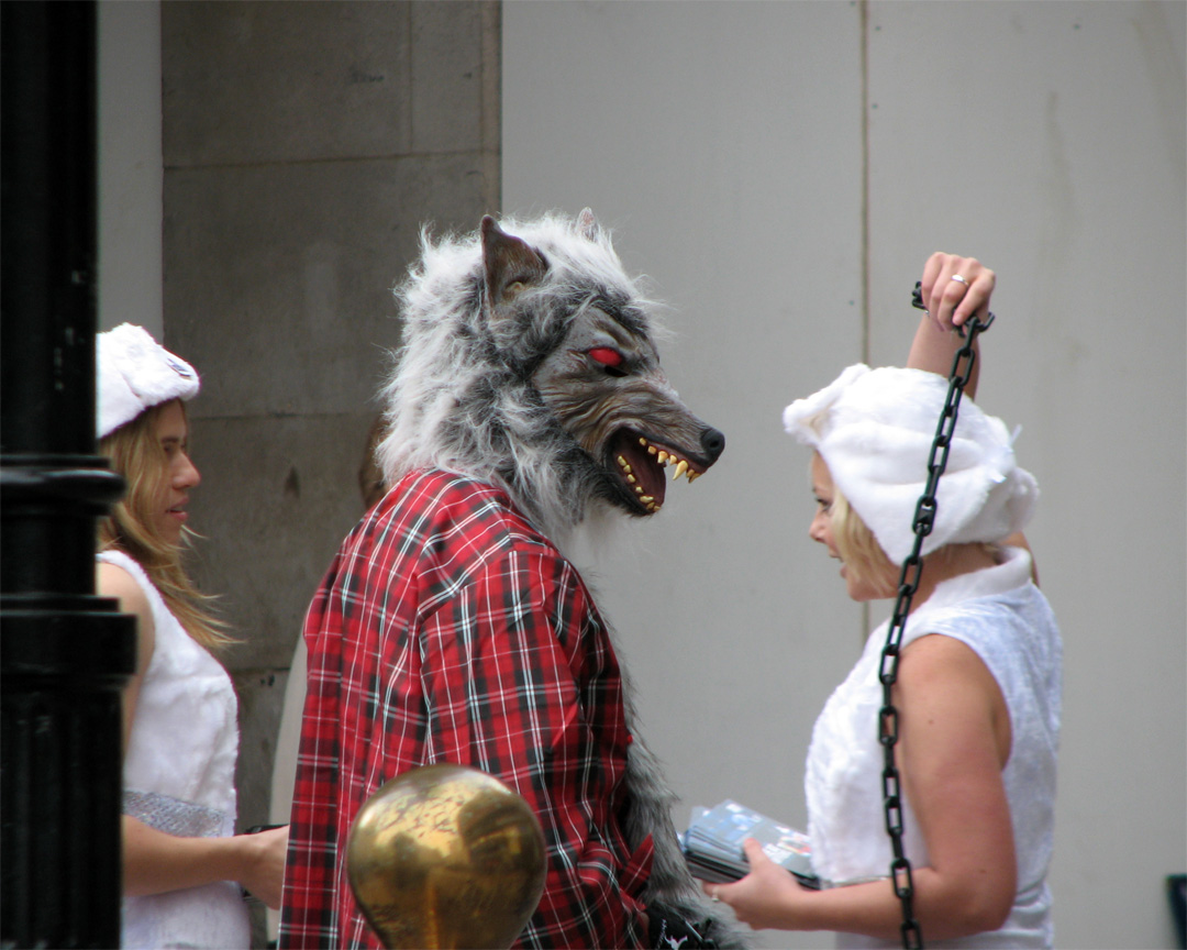 Daily Photo Stream: December 2009