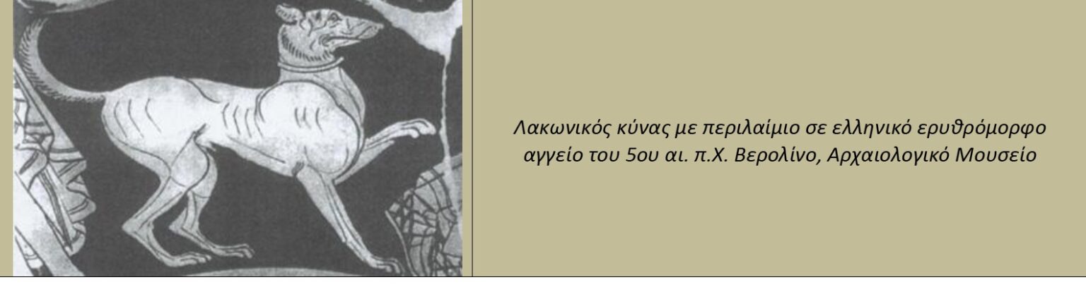 ΤΩΝ ΙΔΕΩΝ: Αρχαιες ελληνικες φυλες κυνων
