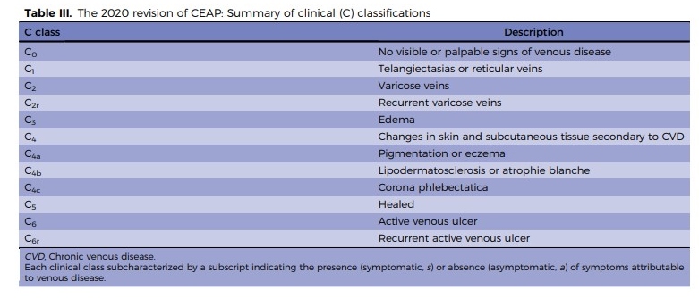 Vascular Mind : 2020