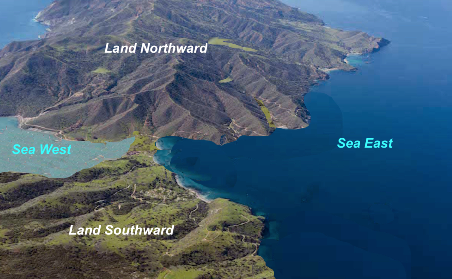 NephiCode: March 2020