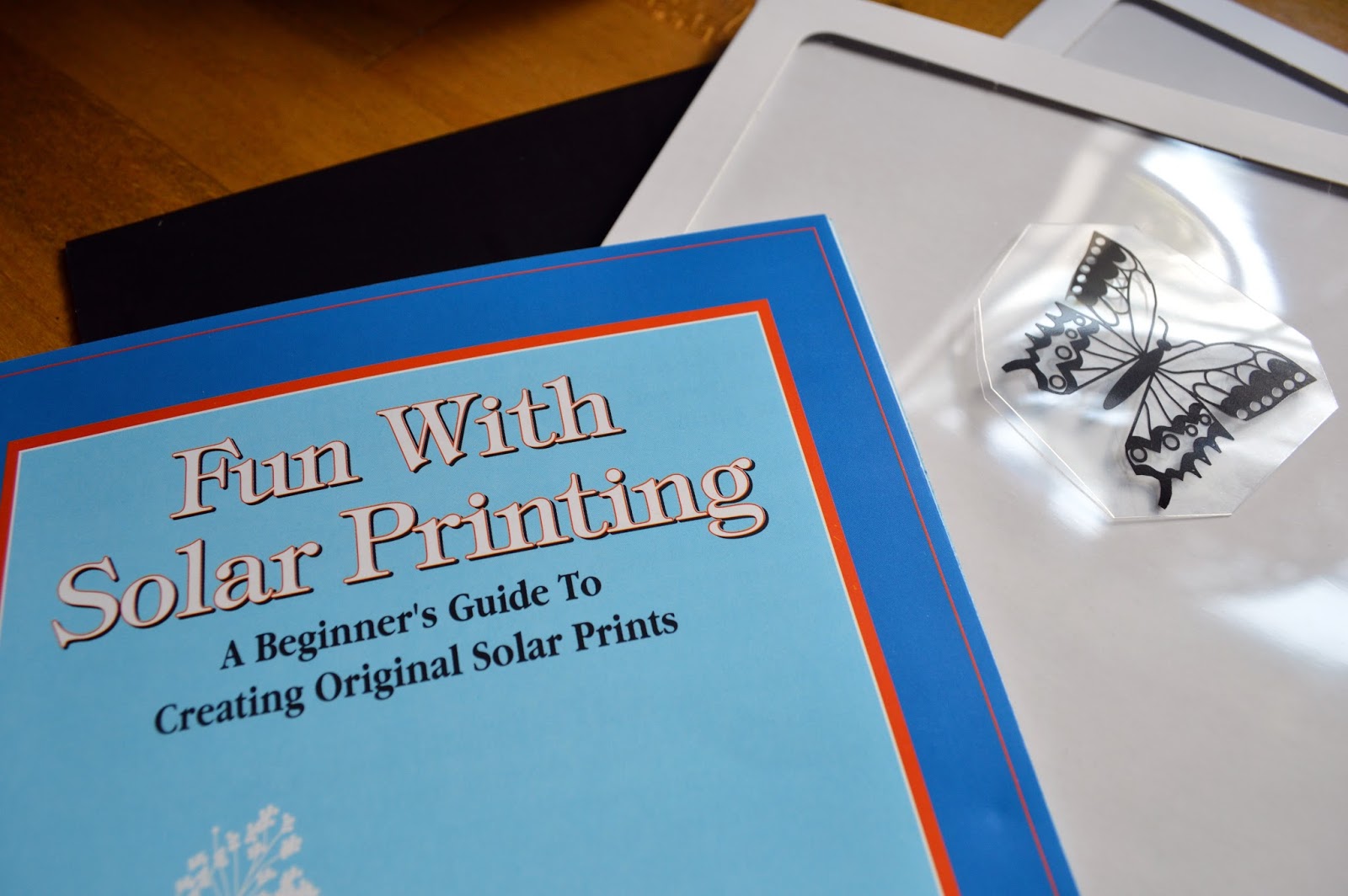 Mothering with Mindfulness : Solar Printing
