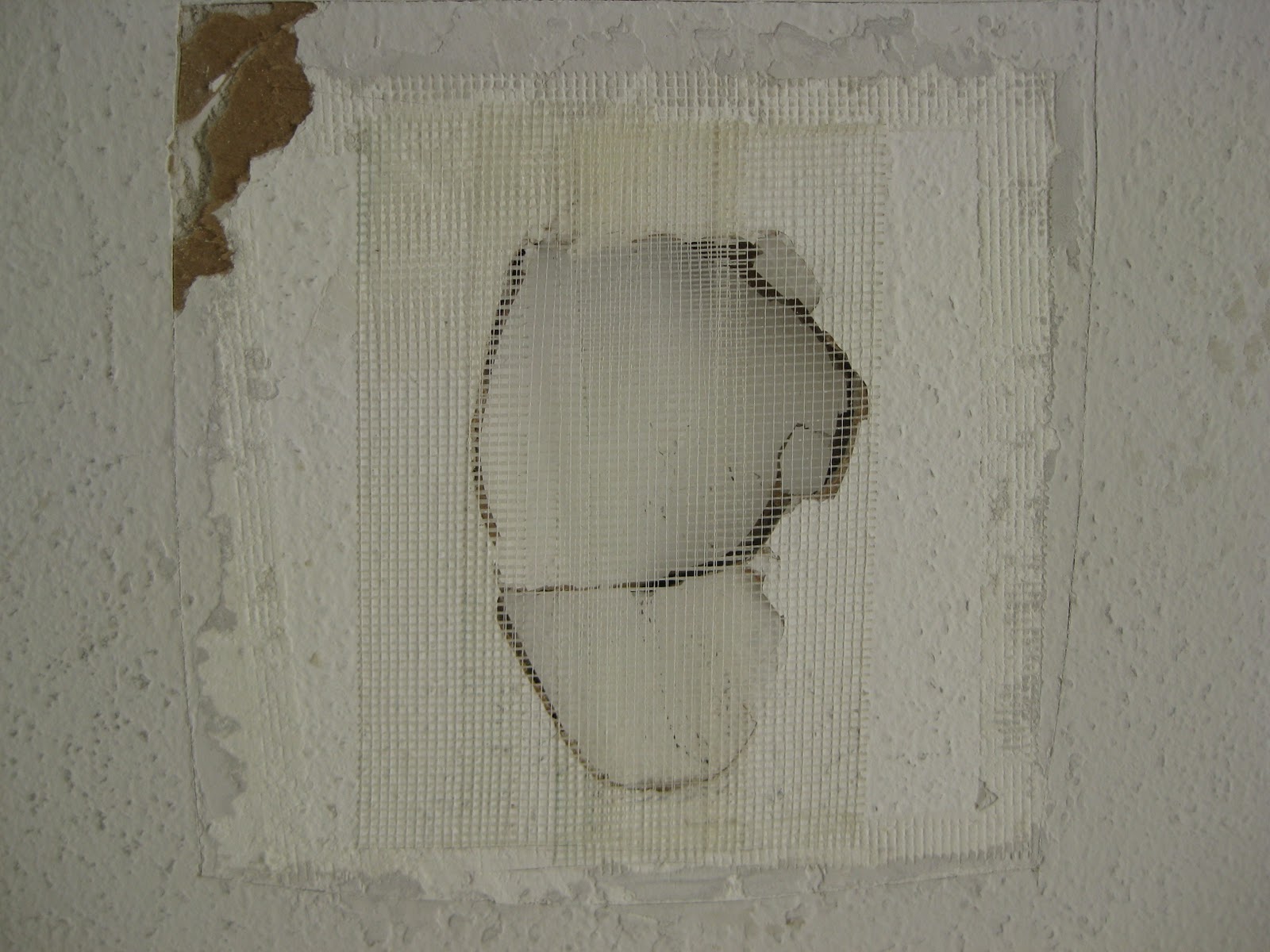 Array of color inc: Drywall repair