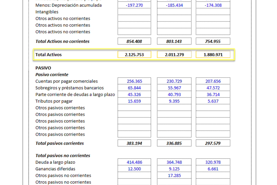 Formato Balance Inicial En Excel ~ Medical Resume