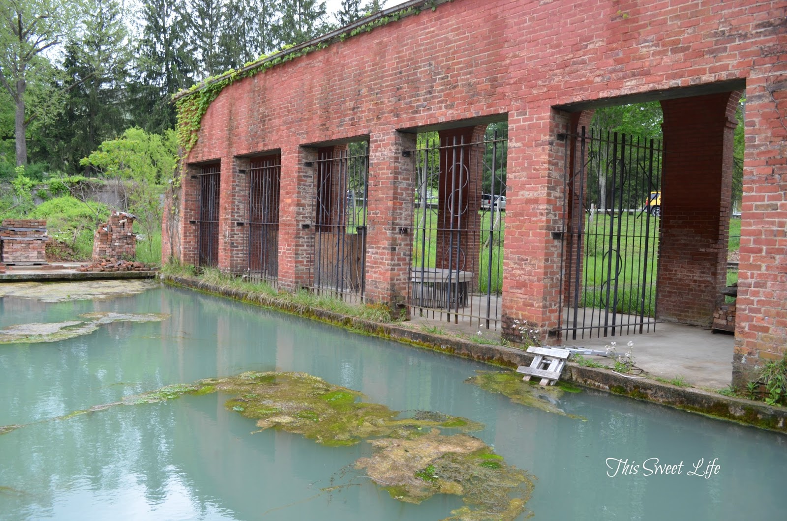 This Sweet Life: Touring History: Old Sweet Springs