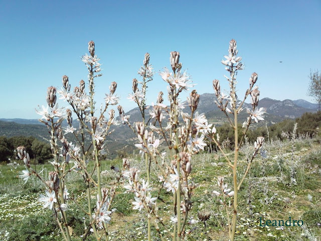 Manuel Cabello y Esperanza Izquierdo: "El blog de Ocurris". "Ubrique en ...
