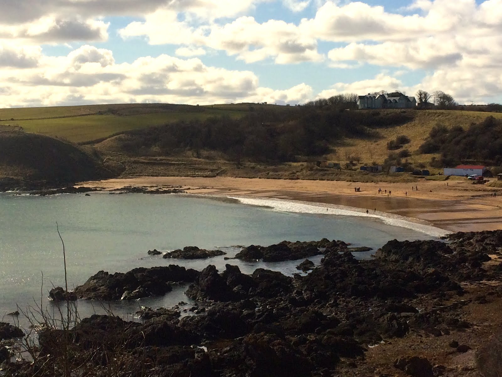 Days out in the Borders : Coldingham Sands