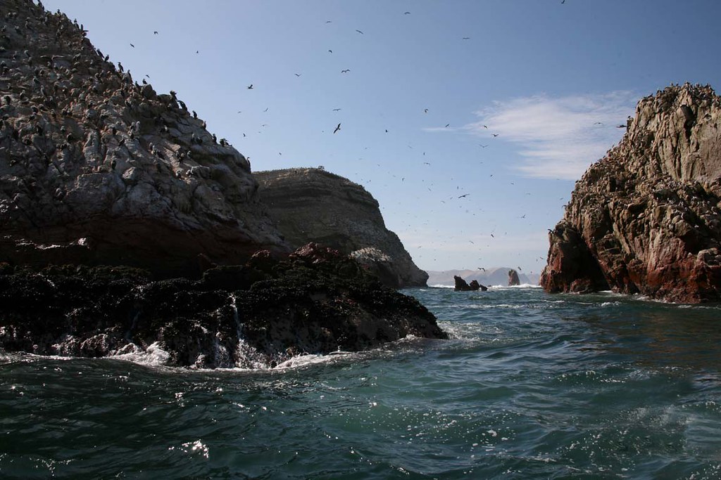Islas Cavinzas e Islotes Palomino