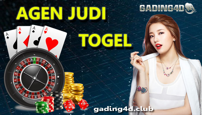 Info Promo Website: 2020