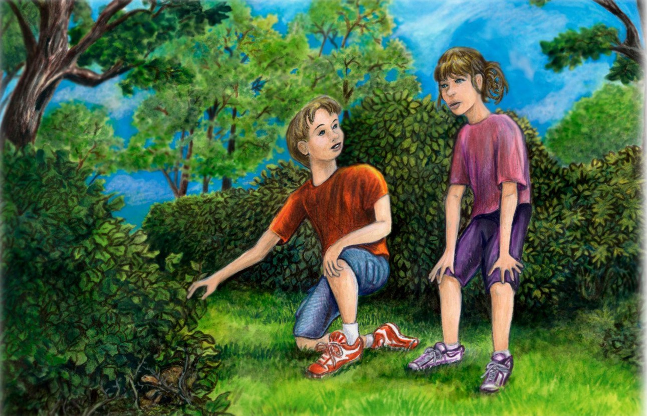 STORYWRAPS: "The Adventures of Thomas the Turtle" - a bookwrap