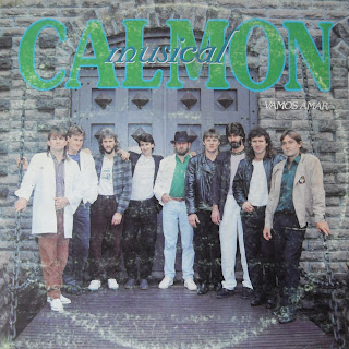 Baixar Cds Bandas Bandinhas Bailão Gauchescas Sertanejo Popular e Forró ...