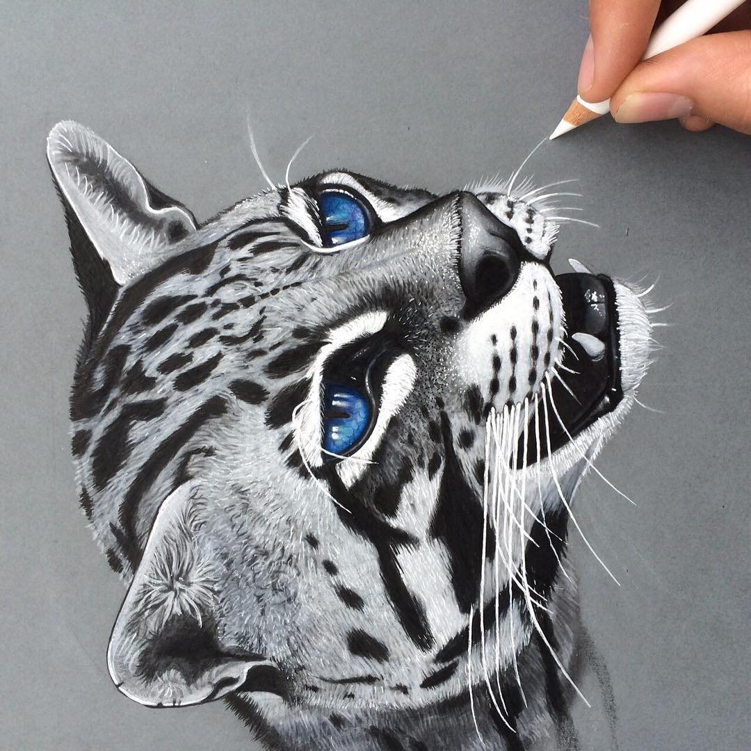 Beautiful Art Drawings
