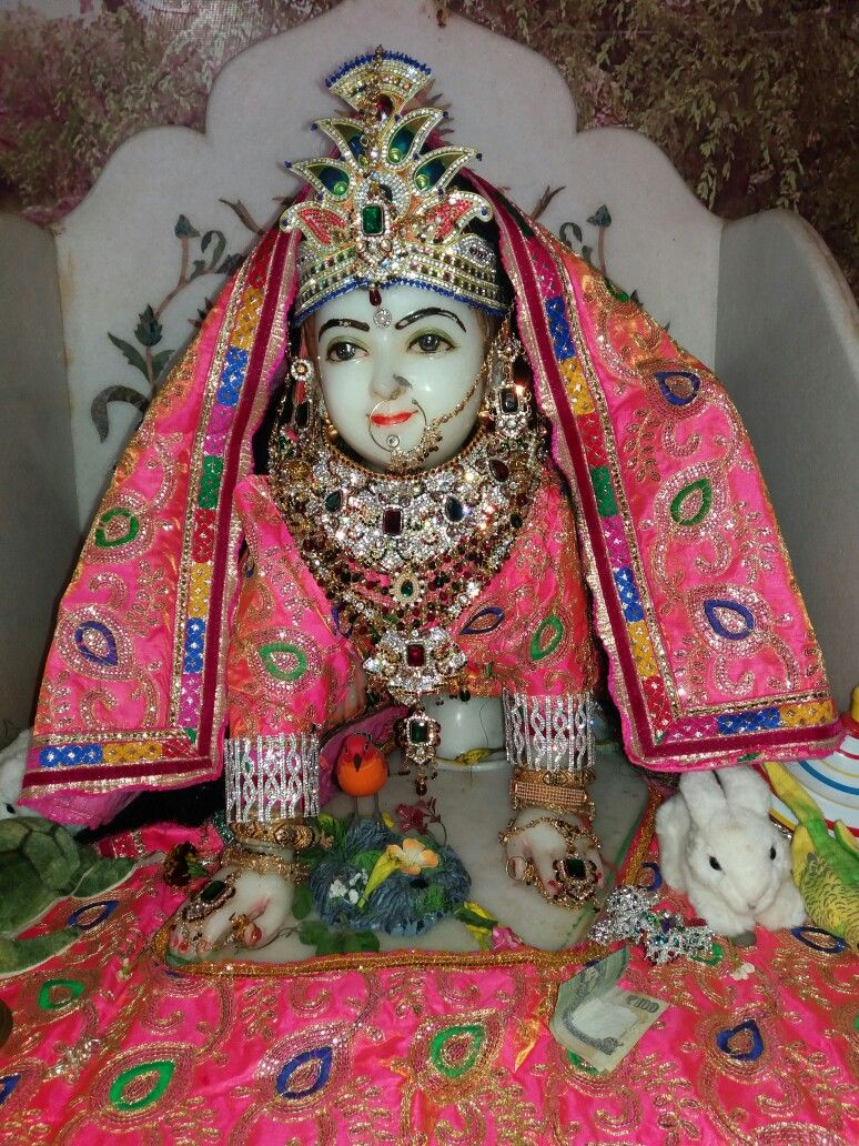 HariHarji: Shri Radha Rani