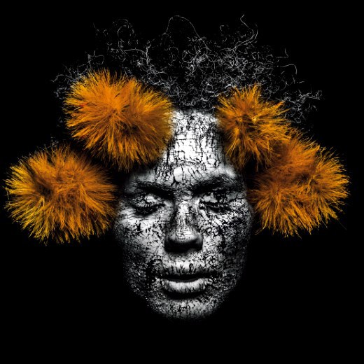 Wisdom Photography by Gabriel Wickbold | Design Arena