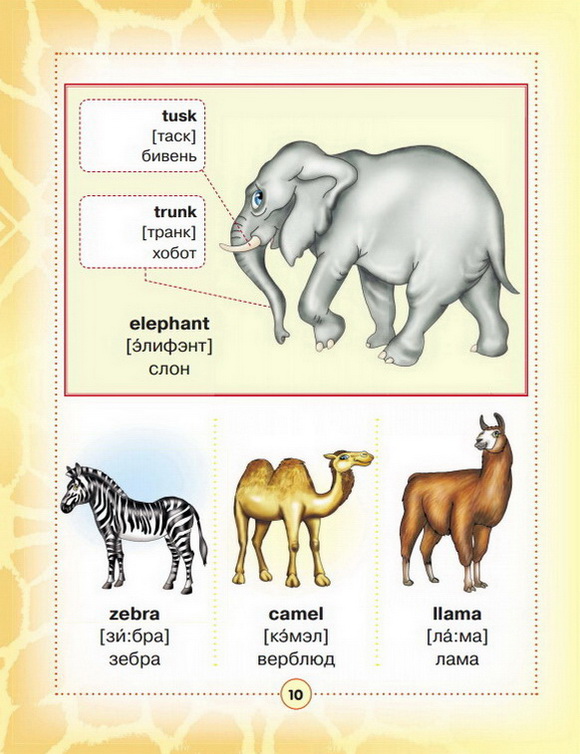 Англо-русский визуальный словарь для детей.