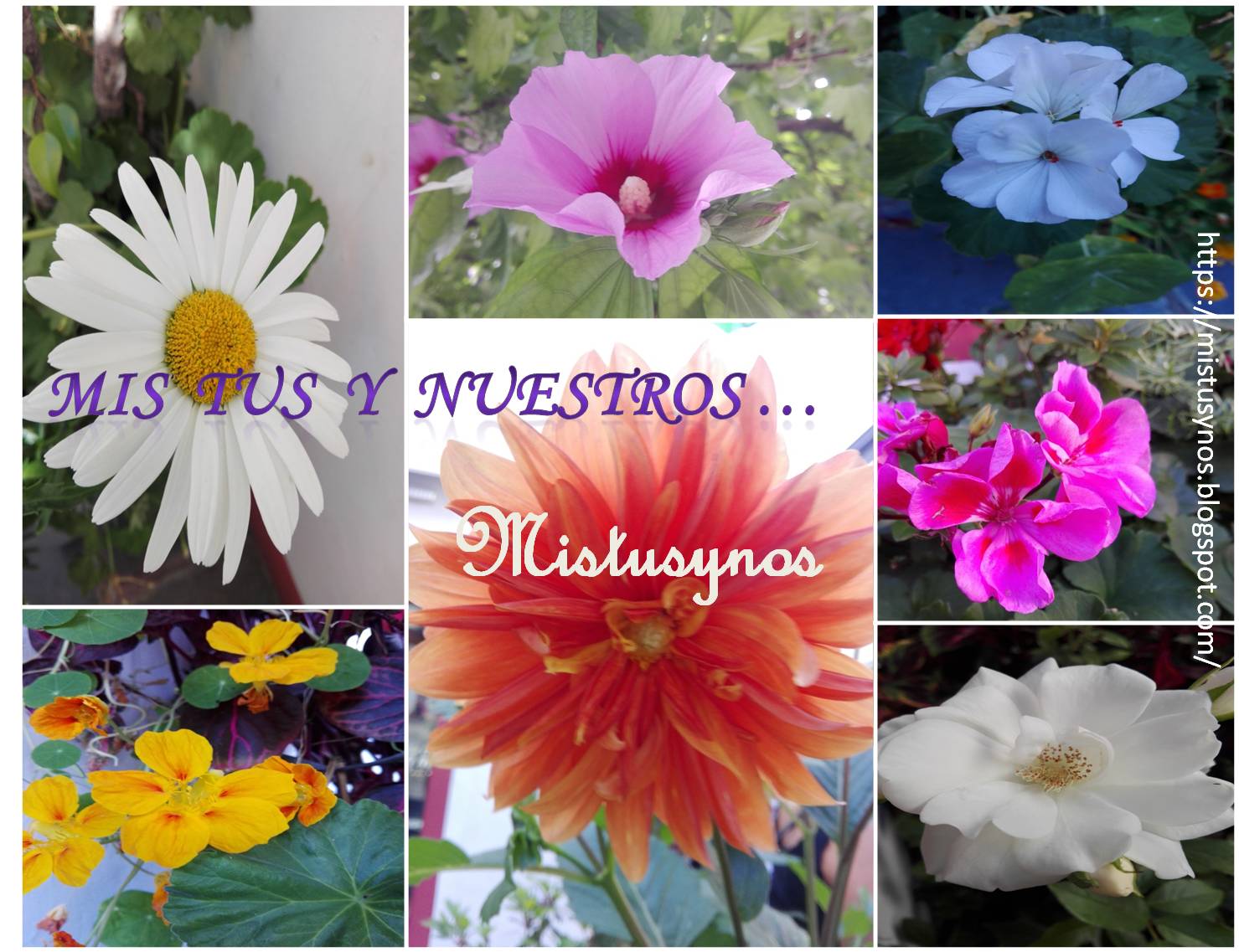 Mistusynos... Mis, tus y nuestros: Fecha de vencimiento